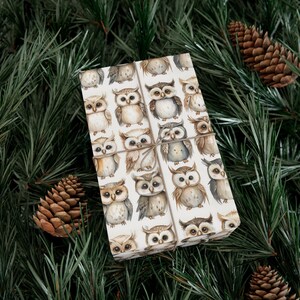 Owl Wrapping Paper - Fun Owl Design for Gift Wrapping, Birthday Present ...