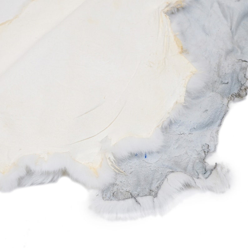 Natural White Fur Rabbit Pelt - Etsy
