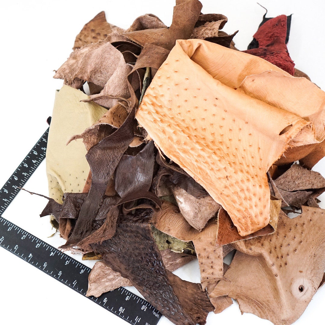 Ostrich Leather Scraps: 2lb Exotic Remnants for Crafting | Springfield ...