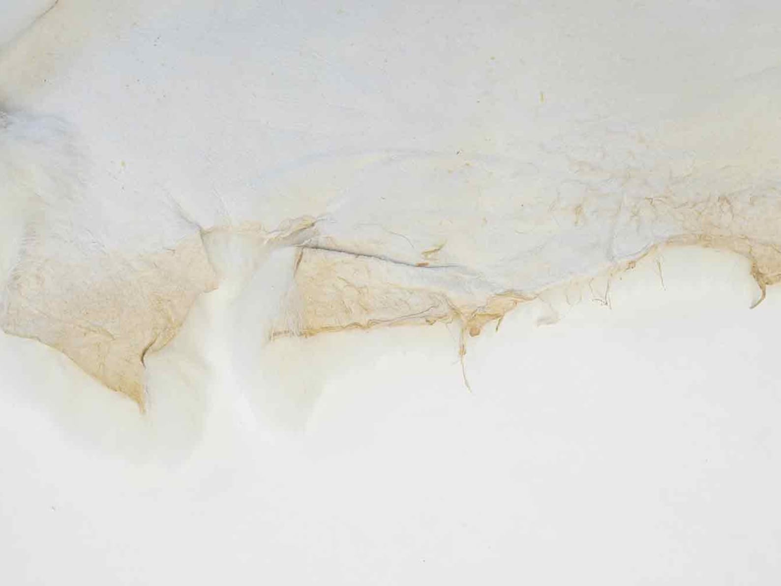 Natural White Fur Rabbit Pelt - Etsy