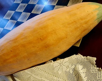 North Georgia Candy Roaster Squash, Cucurbita Maxima, 10 Seeds, Sweet ...