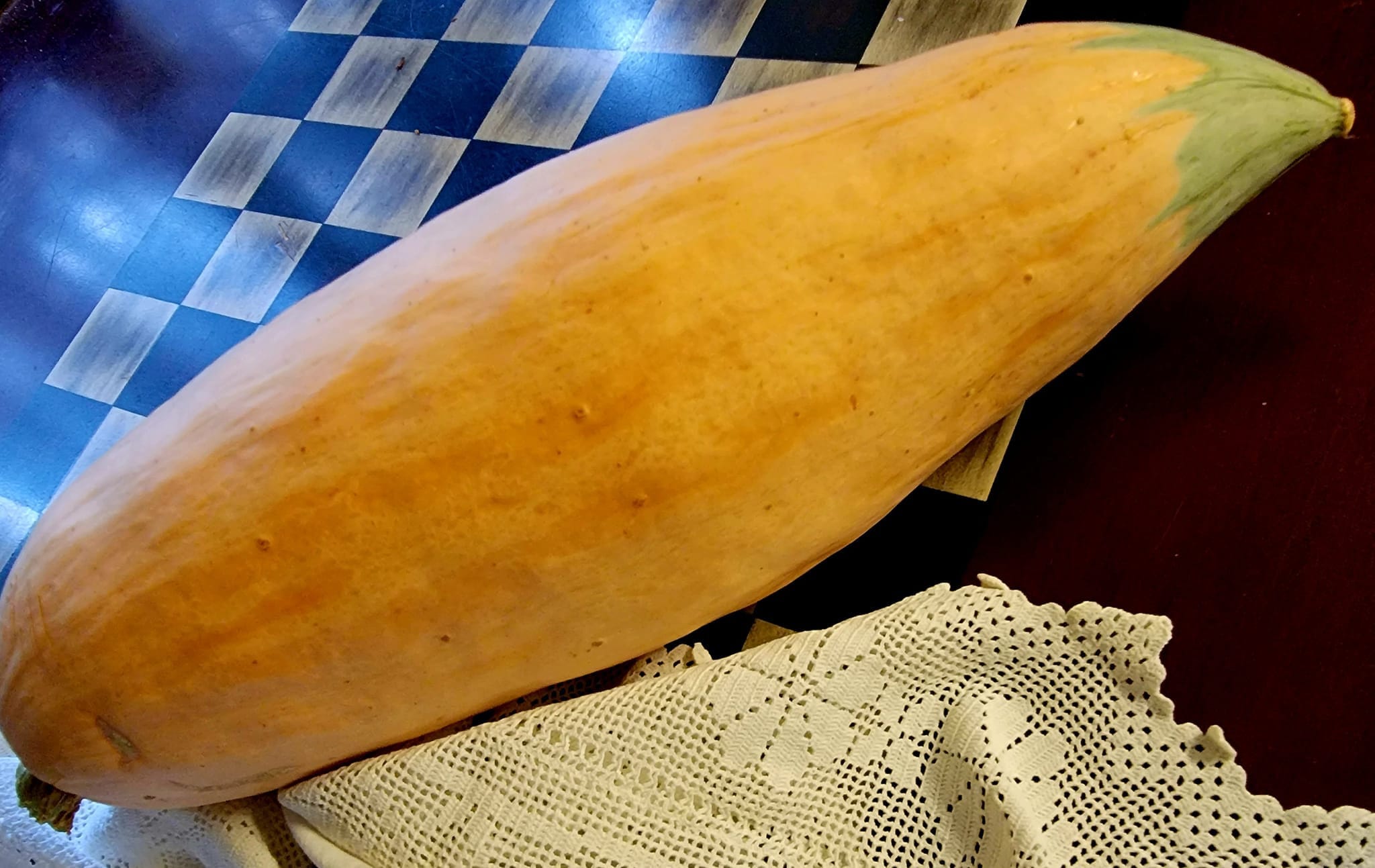 Cherokee, North Georgia Candy Roaster Squash . Cucurbita Maxima - Etsy