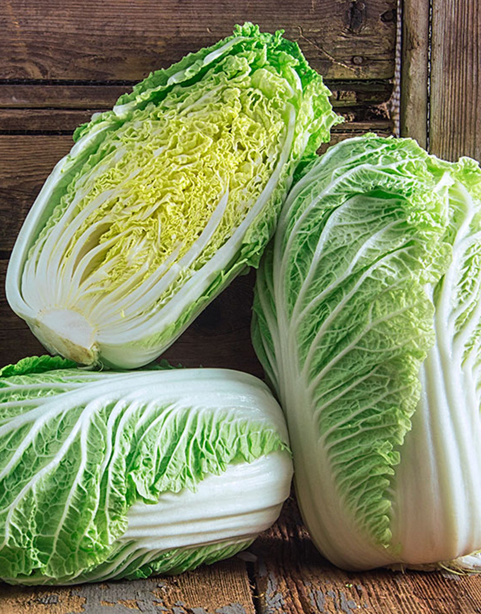 Minuet - Chinese / Napa Cabbage - Etsy