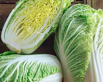Napa Cabbage Chinese Korean Wombok Kimchi Hakusai Heirloom - Etsy