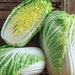 Minuet - Chinese / Napa Cabbage - Etsy