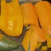 Cherokee, North Georgia Candy Roaster Squash . Cucurbita Maxima - Etsy