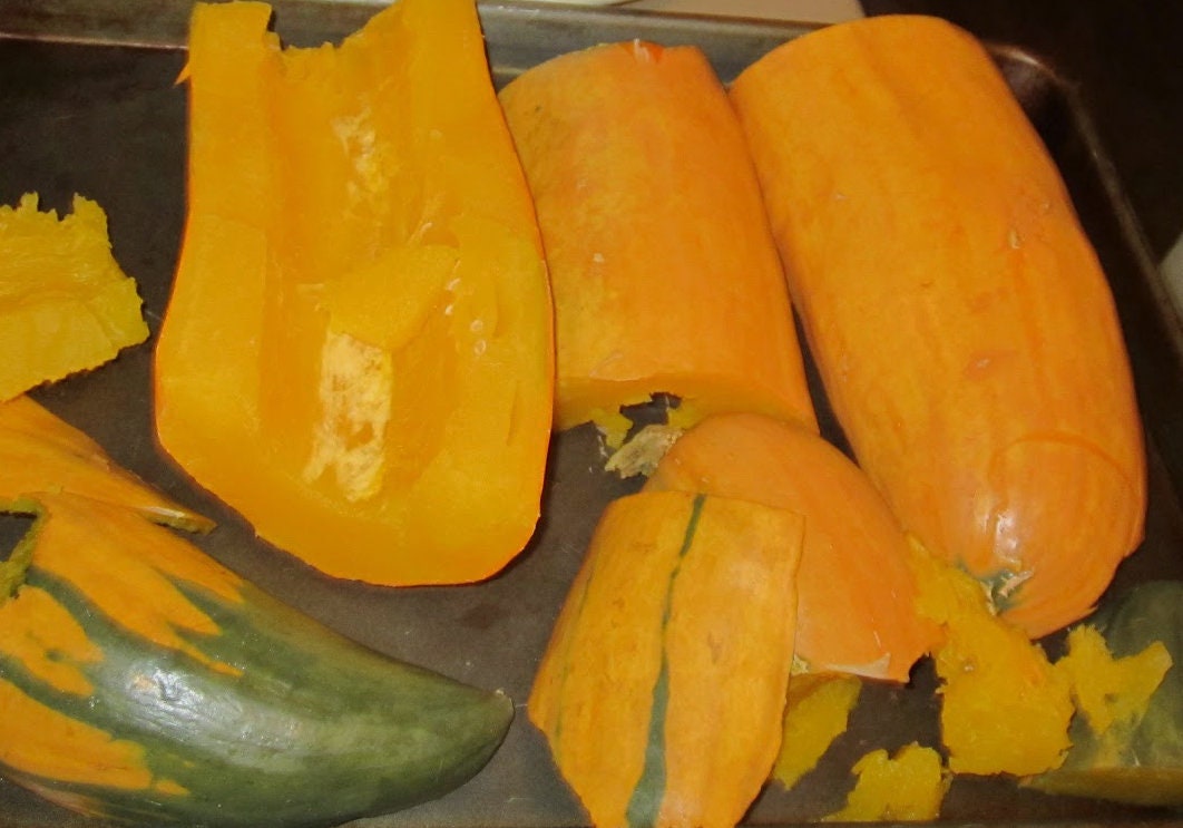 Cherokee North Georgia Candy Roaster Squash . Cucurbita - Etsy