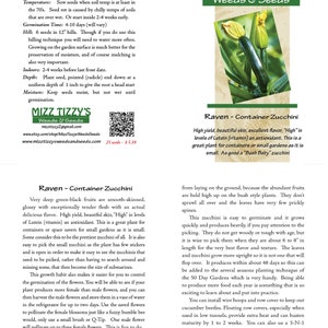 Raven - Container Zucchini Summer Squash SEEDS - Etsy