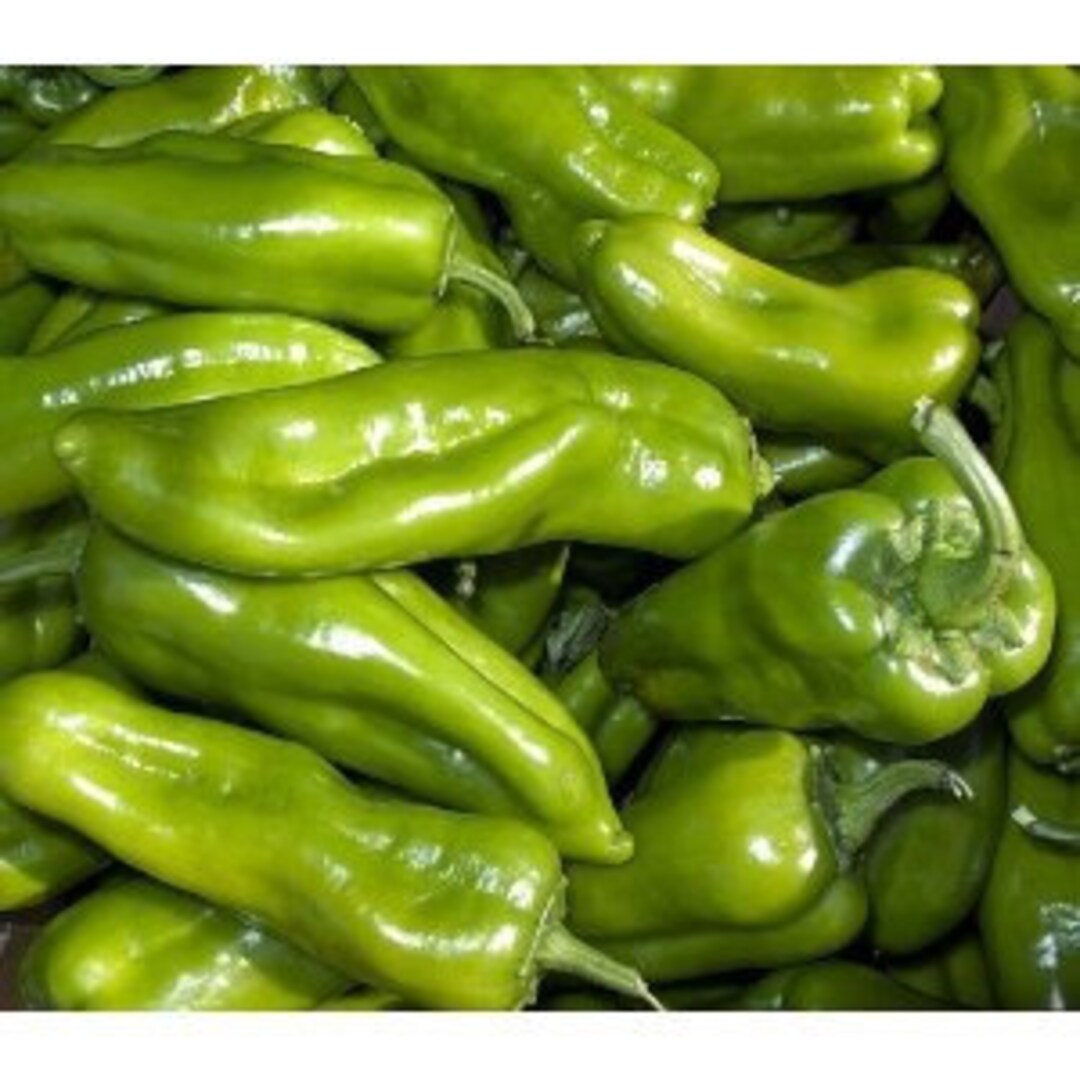 Biscayne Frying Pepper Pepper - Capsicum Annuum - Seeds - Etsy