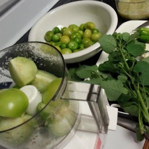 Cilantro/coriander Seeds - Santo Monogerm -- Medicinal Herb - Etsy