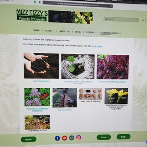 Cherokee, North Georgia Candy Roaster Squash . Cucurbita Maxima - Etsy