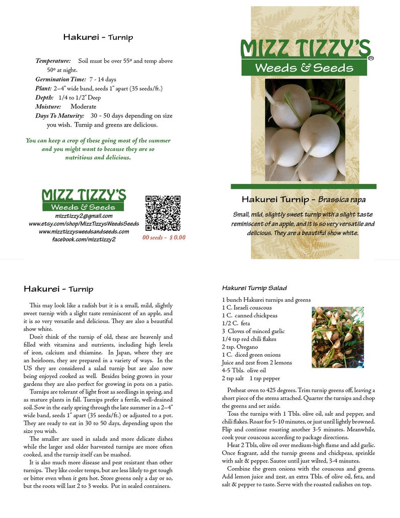 Hakurei Turnip - Brassica Rapa - Etsy