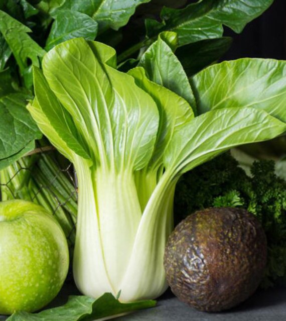 Baby Pac Choi Li Ren Choi - Etsy