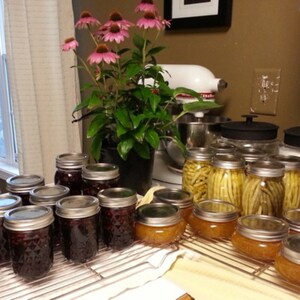 Minuet - Chinese / Napa Cabbage - Etsy