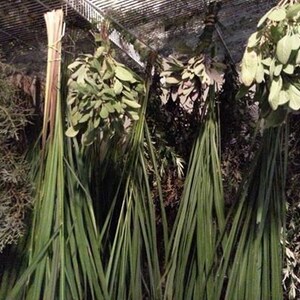 Extra Spirits Smudging Sage Fan - - Etsy