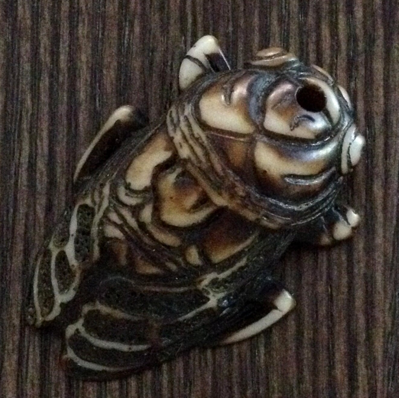 Large Resin Japanese Beetle Bead Pendant in Earthy Brown Tones - Etsy