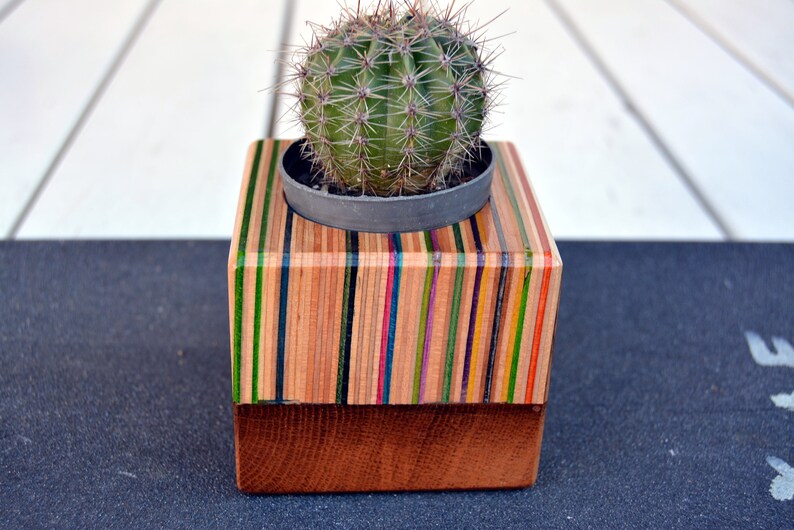 Recycled Skateboard Cactus Planter: Unique Desk Decor (75x75mm) - Etsy