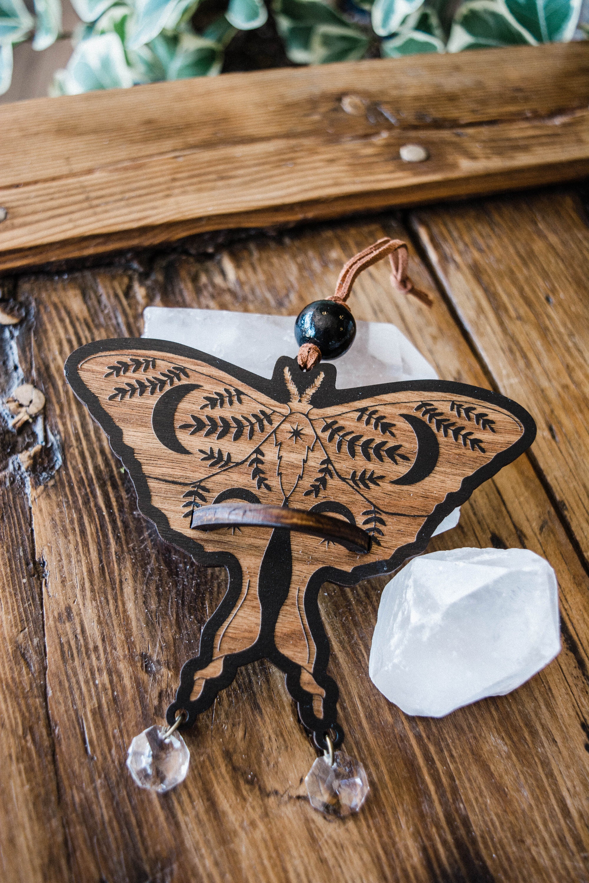 Luna Moth Airplant Holder Gift for Entomology Lover Hanging Bug Wall ...