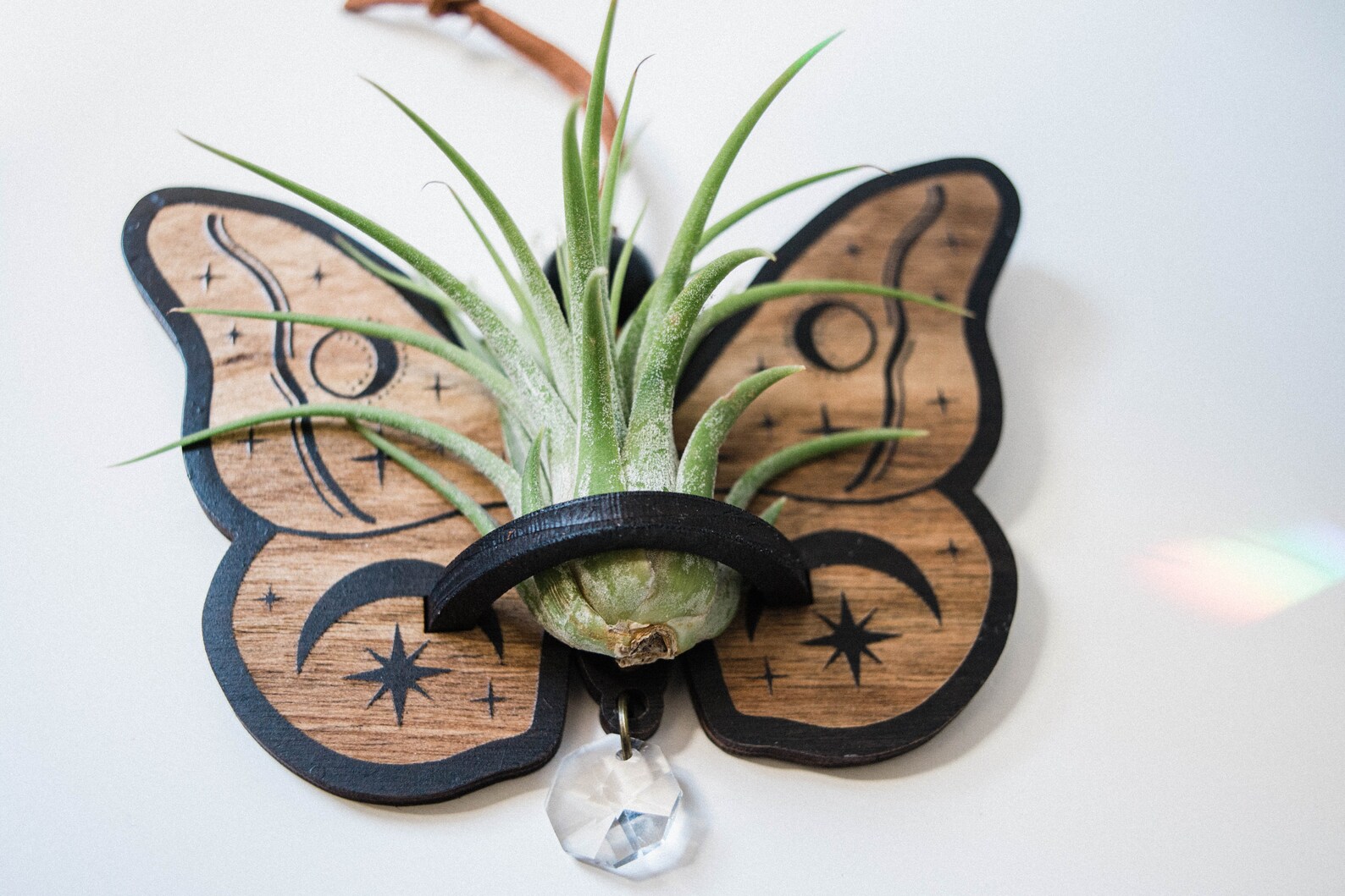 Celestial Moth Hanging Airplant Holder Ornament Wall Hanger Stars Moon ...