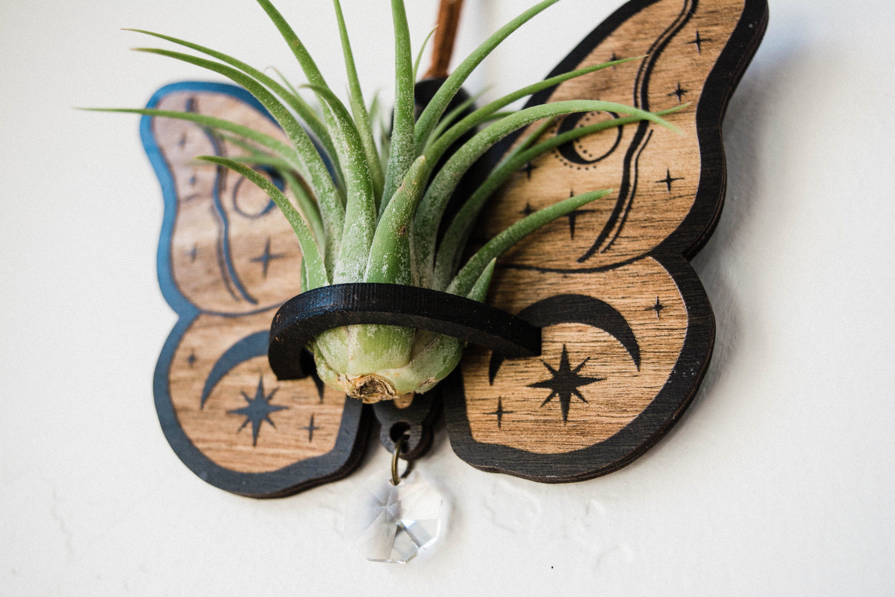 Celestial Moth Hanging Airplant Holder Ornament Wall Hanger Stars Moon ...