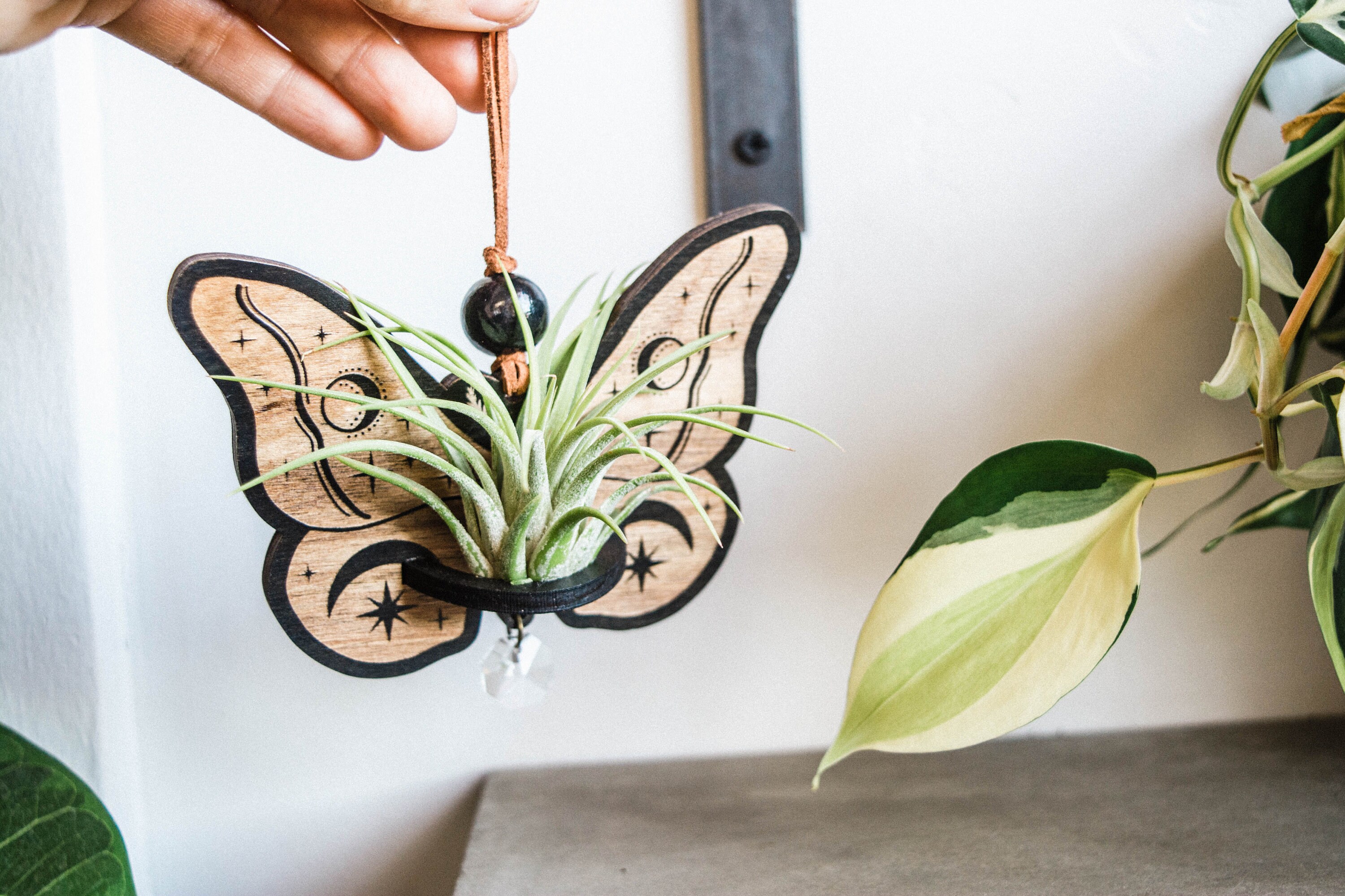 Celestial Moth Hanging Airplant Holder Ornament Wall Hanger Stars Moon ...