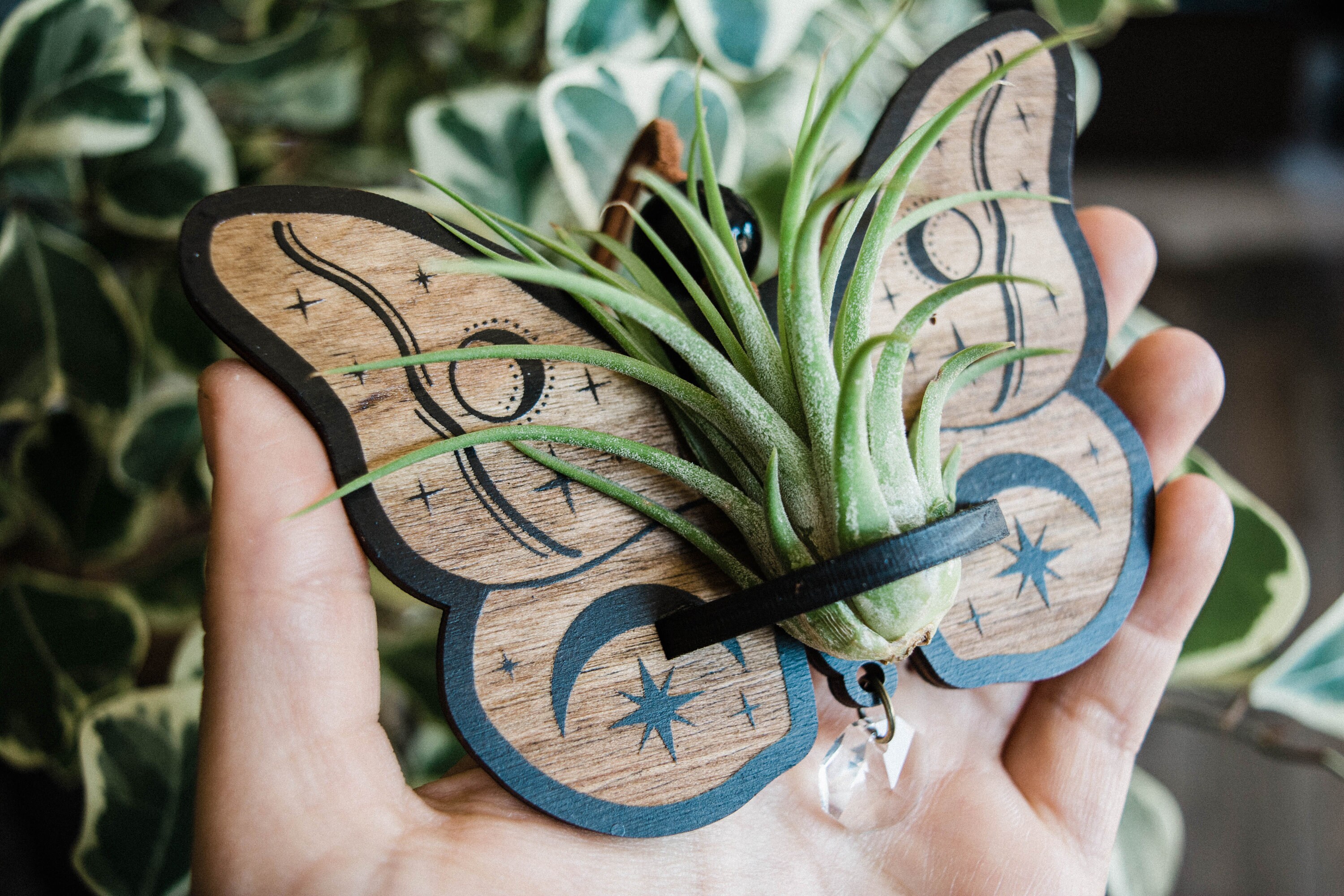 Celestial Moth Hanging Airplant Holder Ornament Wall Hanger Stars Moon ...