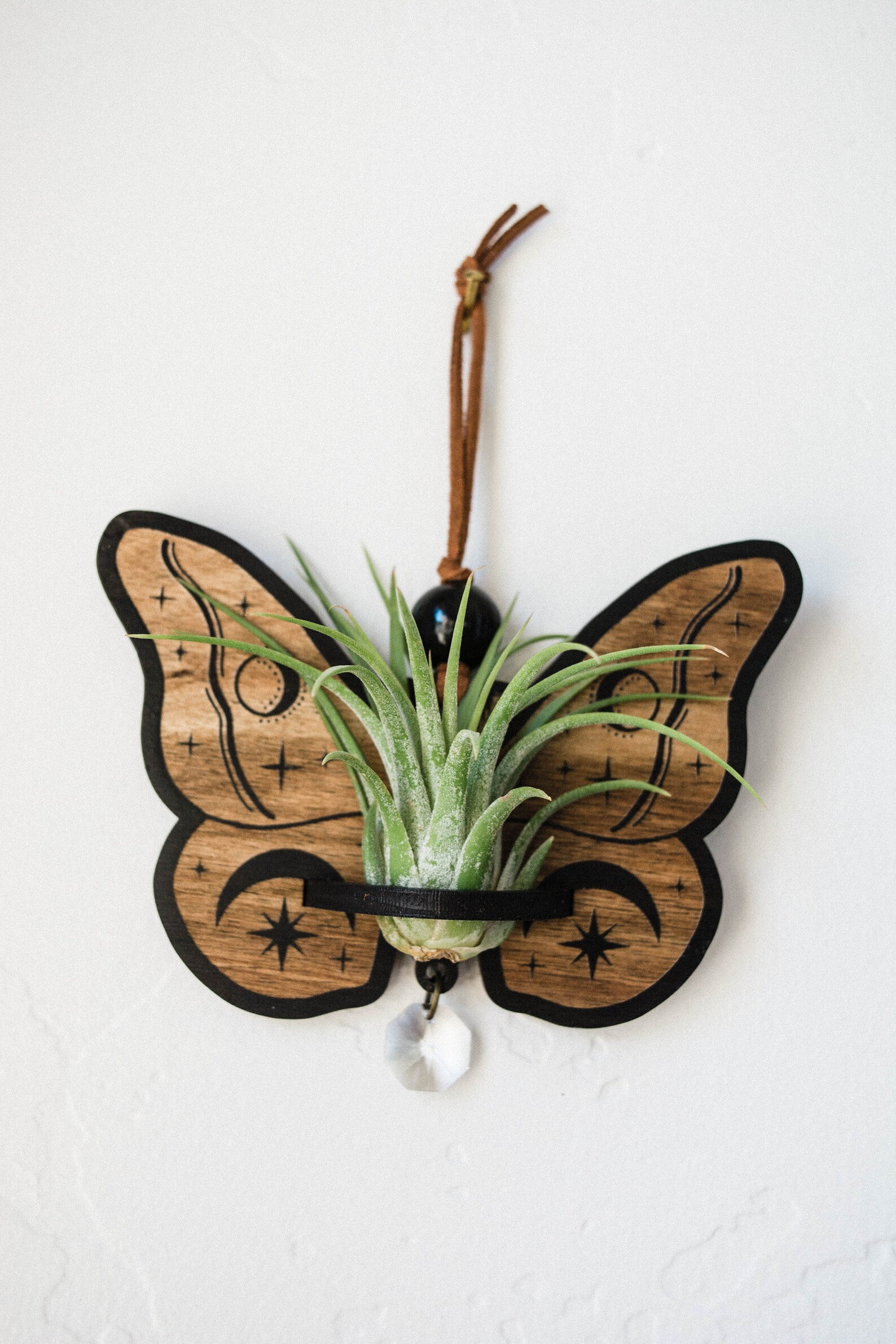Celestial Moth Hanging Airplant Holder Ornament Wall Hanger Stars Moon ...