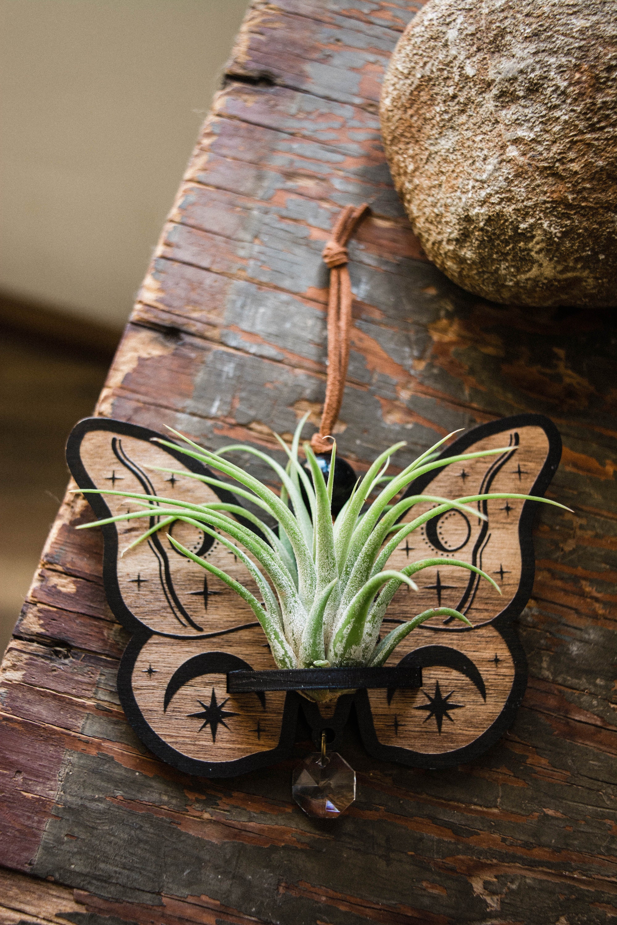 Celestial Moth Hanging Airplant Holder Ornament Wall Hanger Stars Moon ...