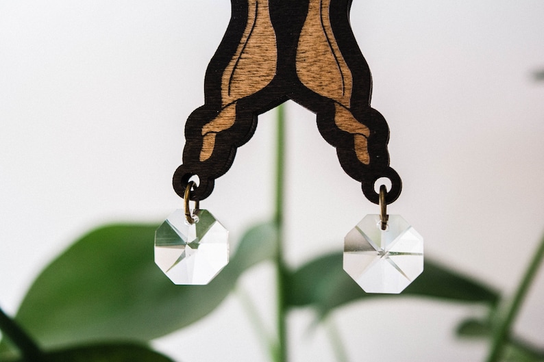 Luna Moth Airplant Holder Gift for Entomology Lover Hanging Bug Wall ...