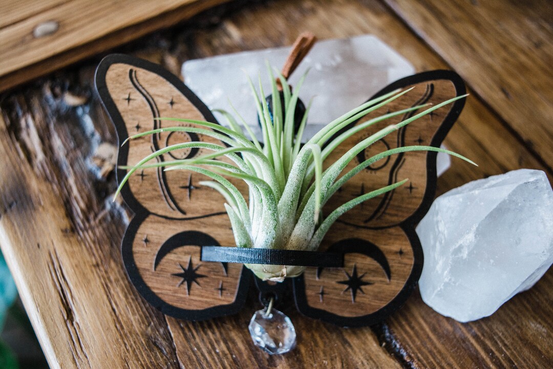 Celestial Moth Hanging Airplant Holder Ornament Wall Hanger Stars Moon ...