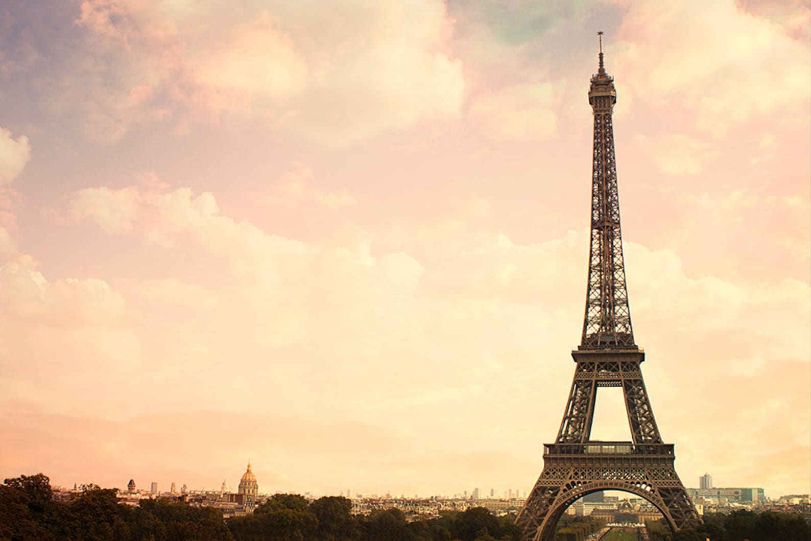 Eiffel Tower Designer Shower Curtain - Etsy