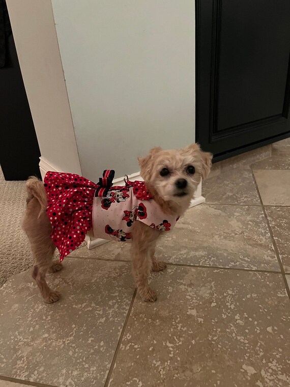 Minnie Mouse Dog Sweater