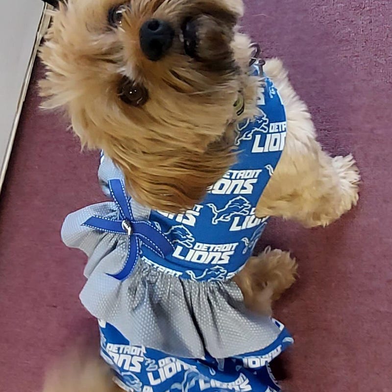 Nfl Dog Dresses - Etsy