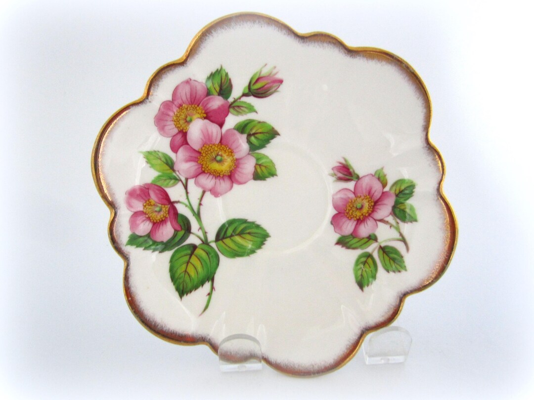 Salisbury Pink Wild Rose Vintage Orphaned Saucer Made in England - Etsy