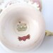 Shelley Pink Vintage Tea Cup and Saucer "sheraton" Pattern Teacup - Etsy