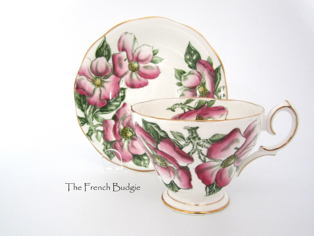 Queen Anne Vintage Magnolia Teacup and Saucer Made in England Tea Cup ...