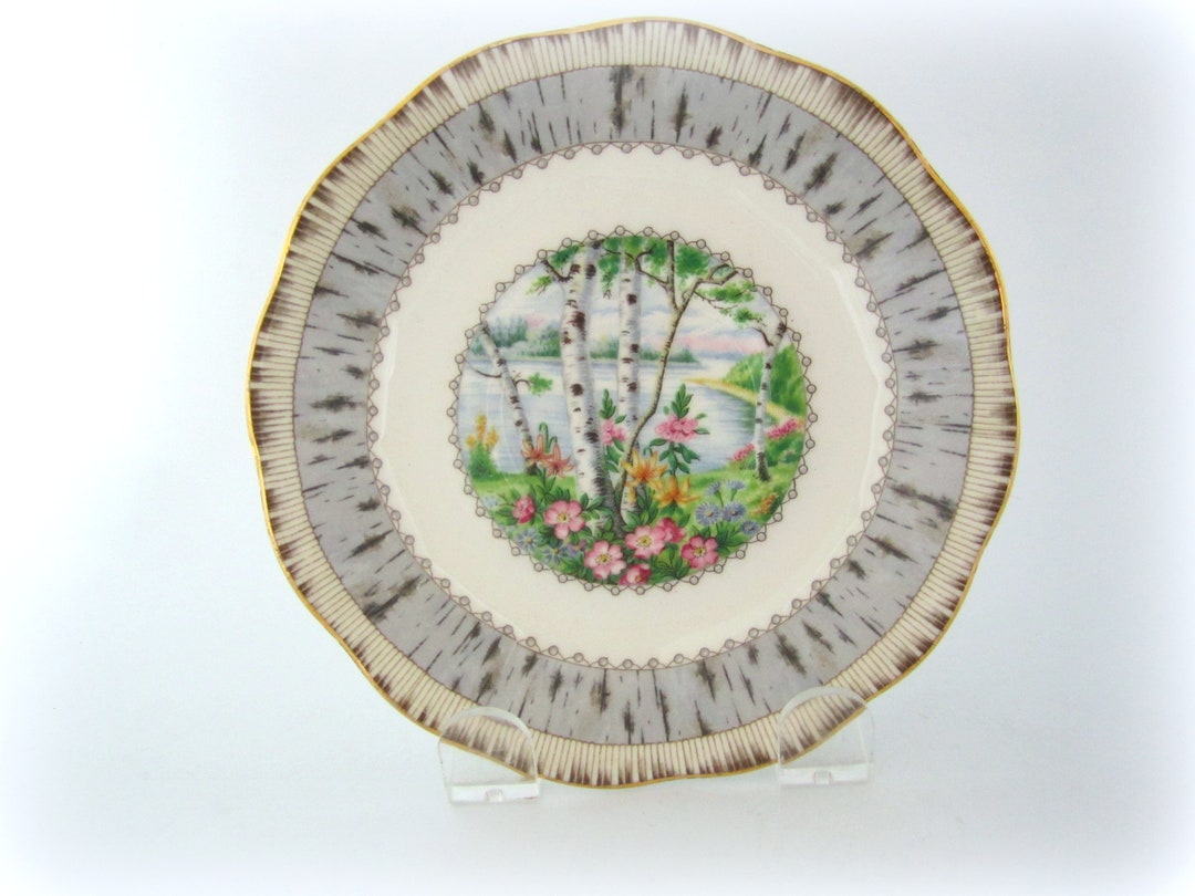 Royal Albert SILVER BIRCH Vintage Orphaned Saucer Made in England - Etsy