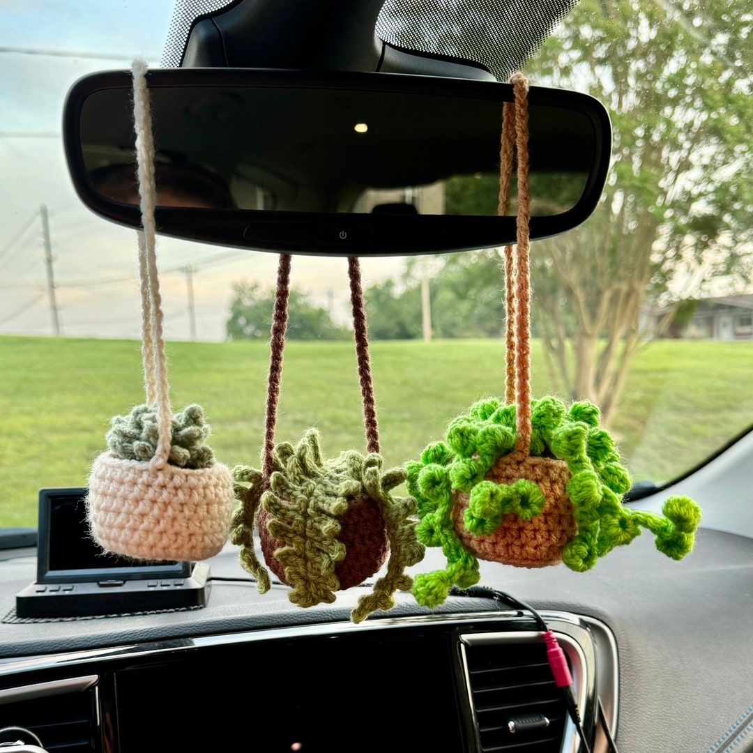 Car Hanging Succulent Plant Car Accessory Car Hanging String of Pearls ...