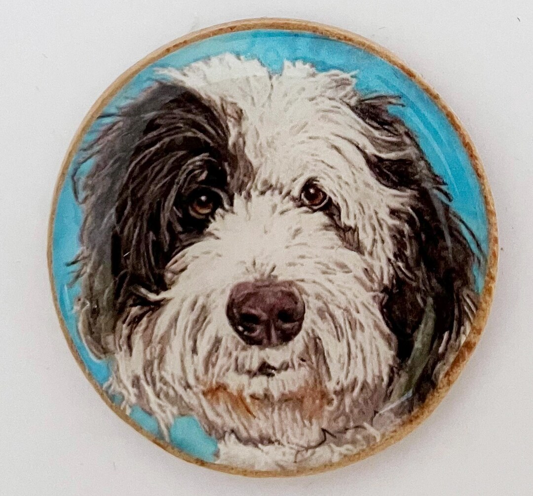 Old English Sheepdog Sheepadoodle Original Art Pin or Magnet - Etsy