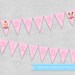 Despicable Me Minions Happy Birthday Banner Bunting Pennant Party Flags ...