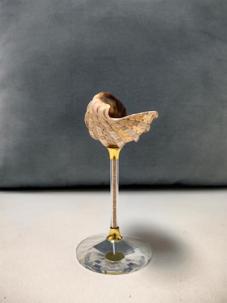 Natural Harpa Shell Goblet - Handcrafted Crystal Stem Seashell Wine ...