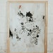 Blooms and Shadows Large Poster Print - Etsy