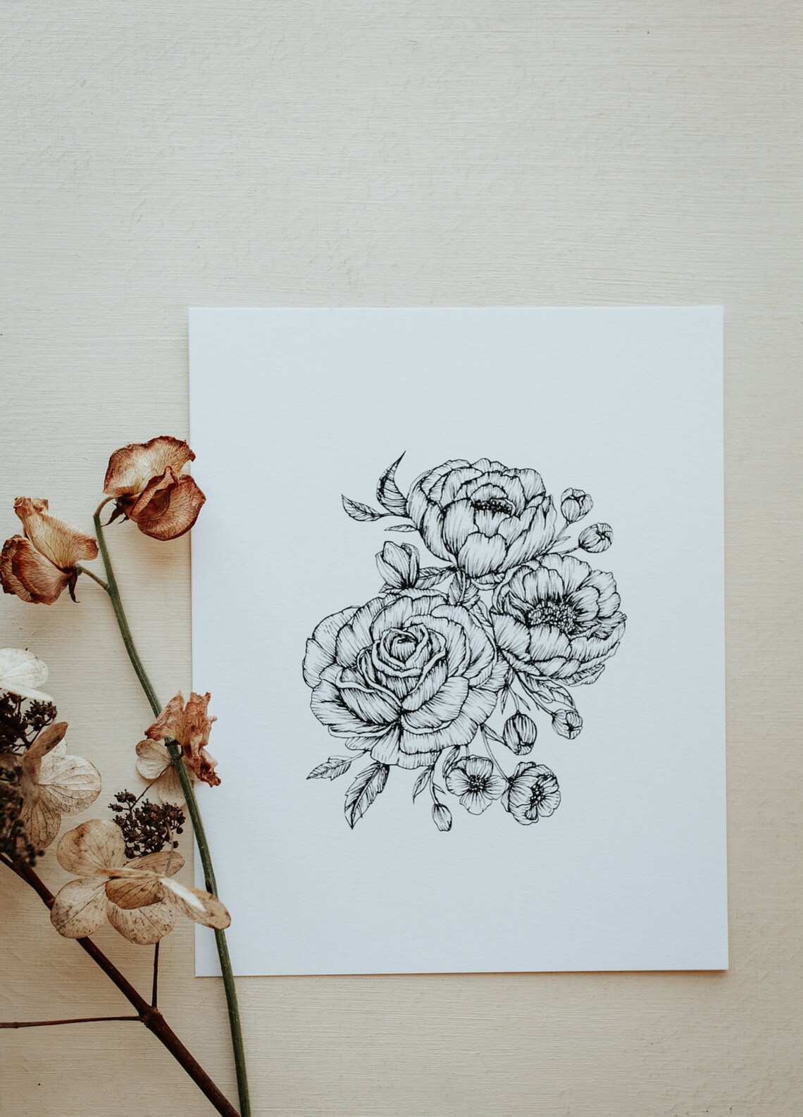 Peonies Roses Botanical Floral Hand Drawn Pen and Ink - Etsy
