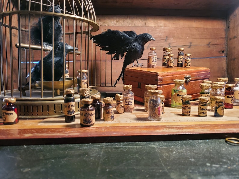 Bottled Lavender Black Crow Potion - Etsy