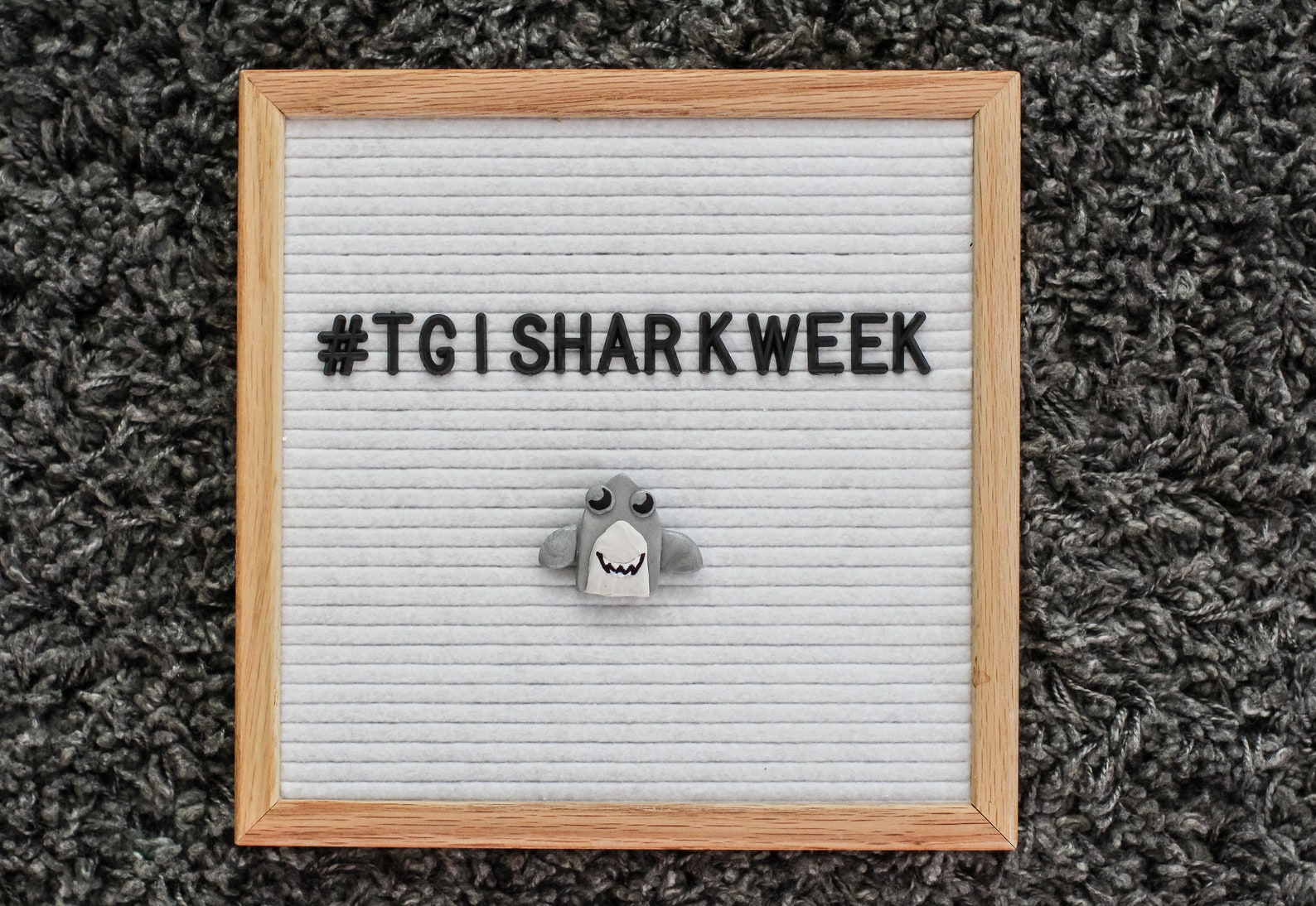 Shark Letter Board Ornament // Shark Week Felt Letter Board | Etsy