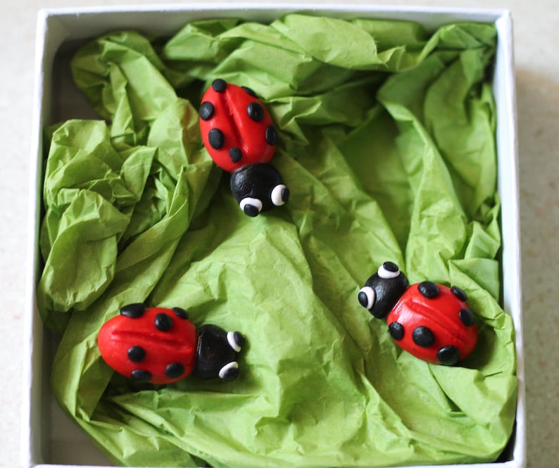 Ladybug Felt Letter Board Ornaments, Handmade Clay Spring Decor - Etsy