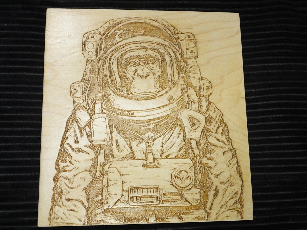 Ham, 1st Chimp in Space Likeness Tribute Engraving | High Resolution - Etsy