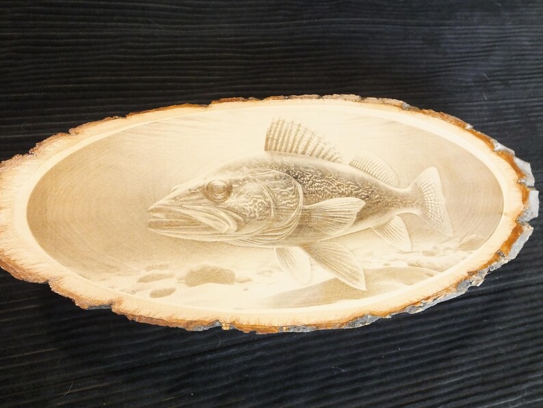 Walleye Laser Engraving on Live Edge Basswood Oval | High Definition ...