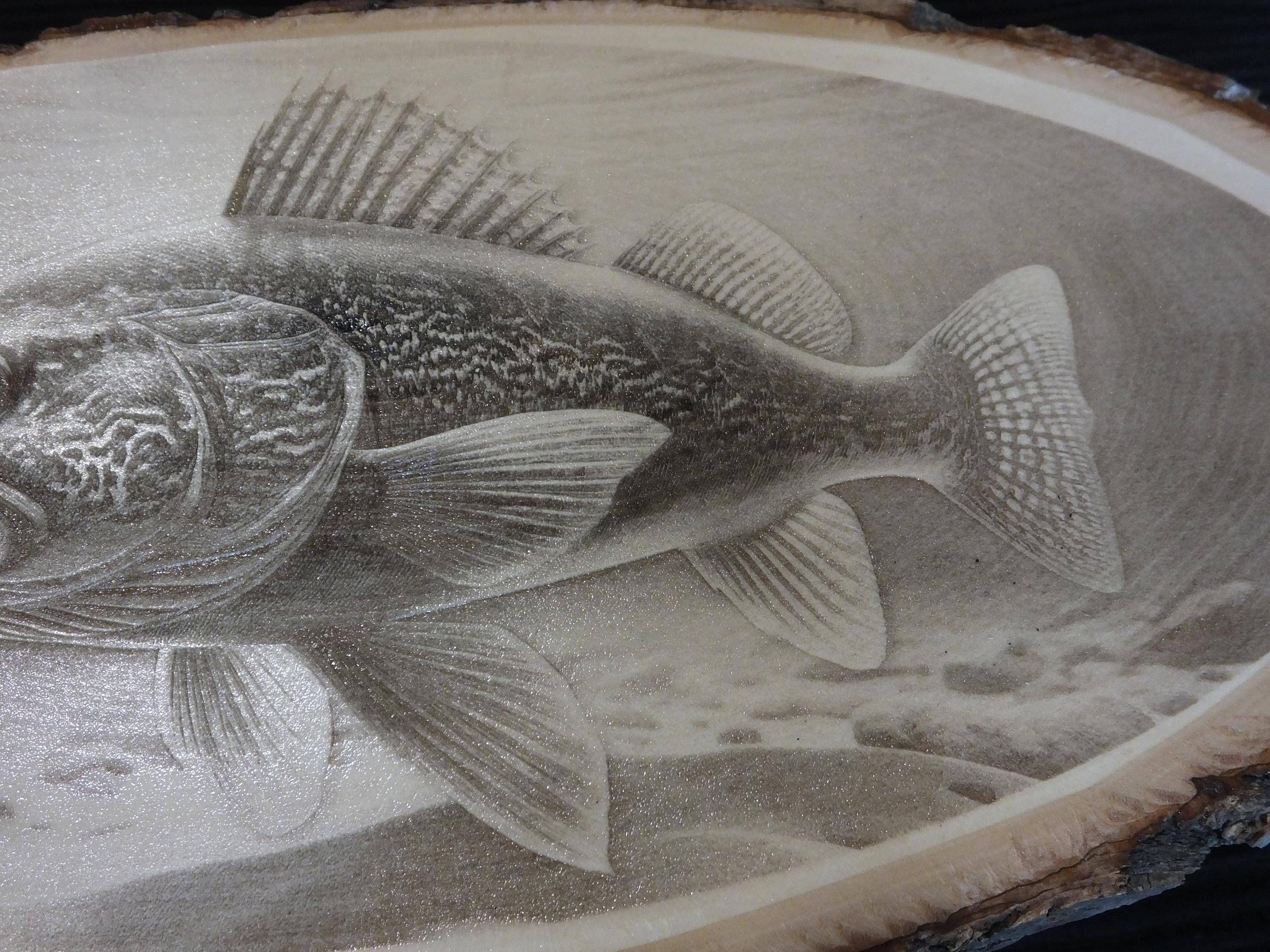 Walleye Laser Engraving on Live Edge Basswood Oval | High Definition ...