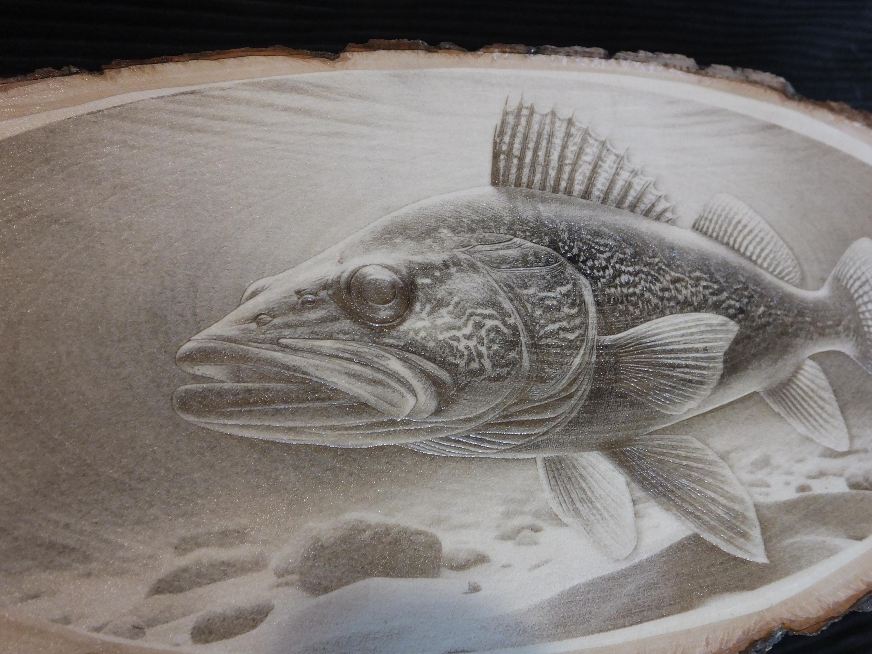 Walleye Laser Engraving on Live Edge Basswood Oval | High Definition ...